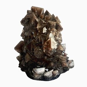 Contemporary Accessories